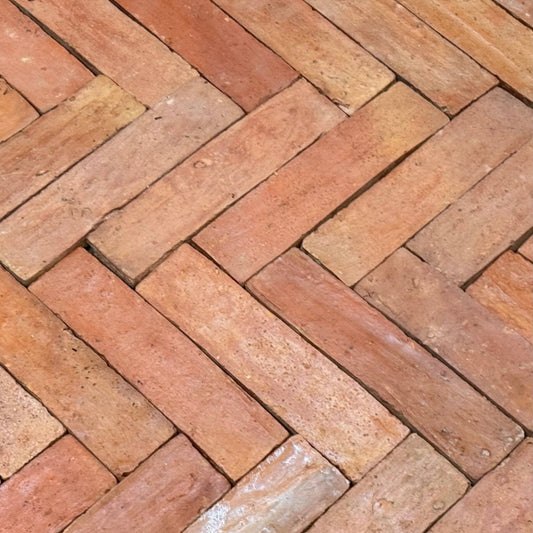 Collections – Baked Earth